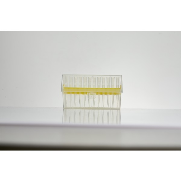 Gel loading pipette tip